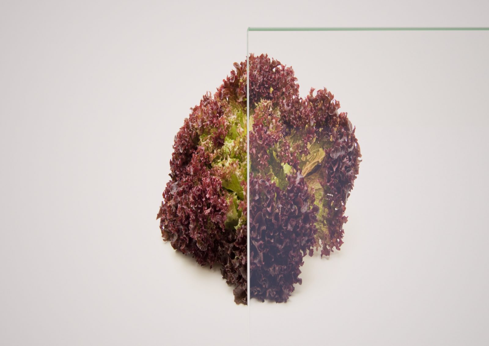 Glass made for the sun - AGC Solar Glass